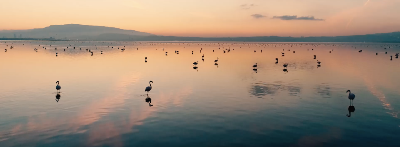 Doğa Derneği | Doğa Biziz!
