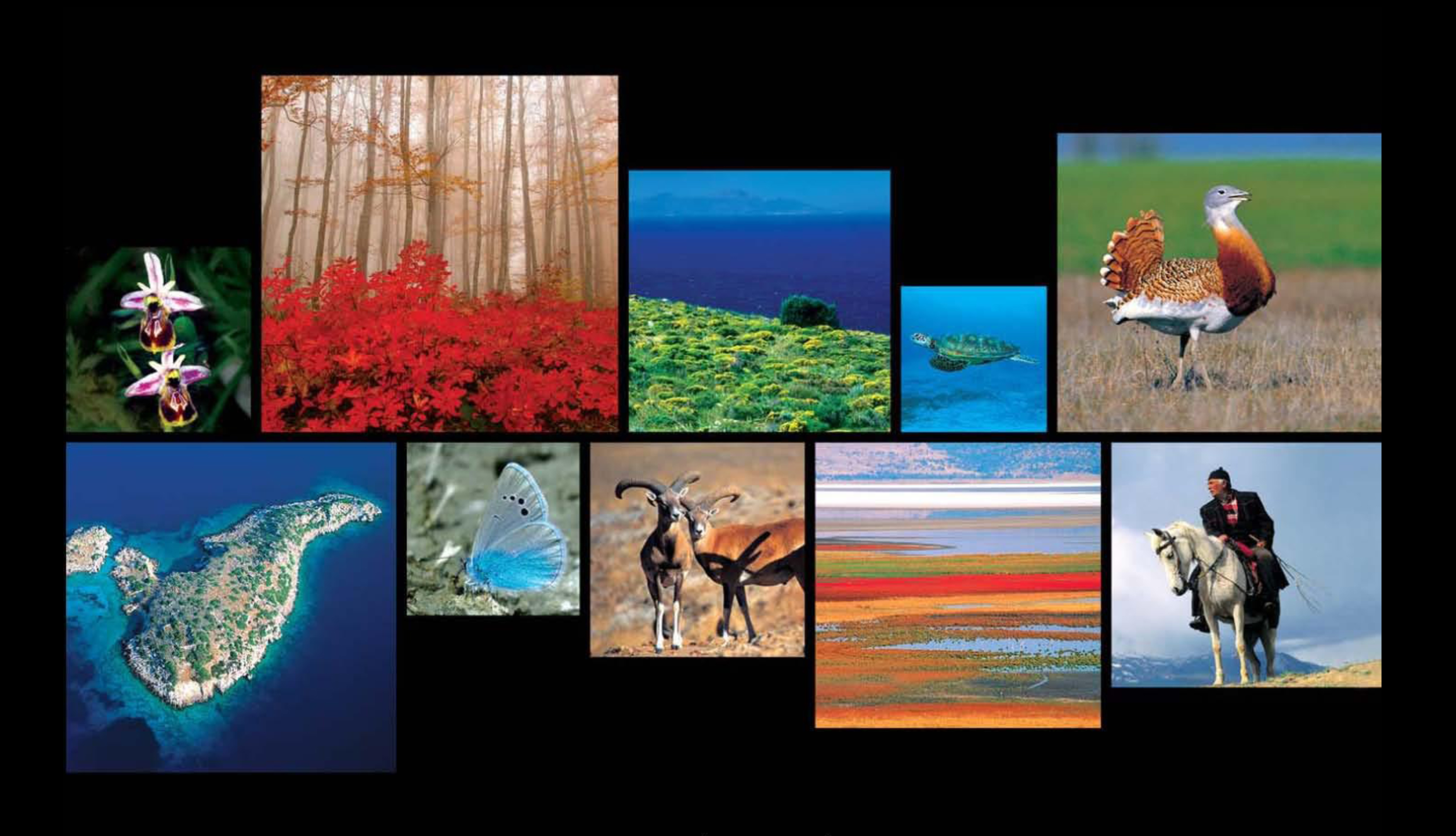 Doğa Derneği | Nature is us!