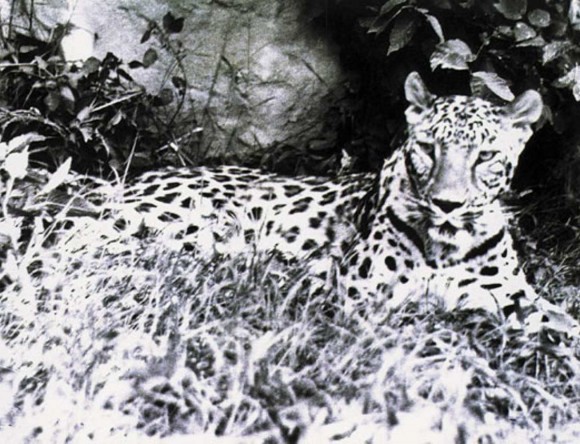 Doğa Derneği | Nature is us!